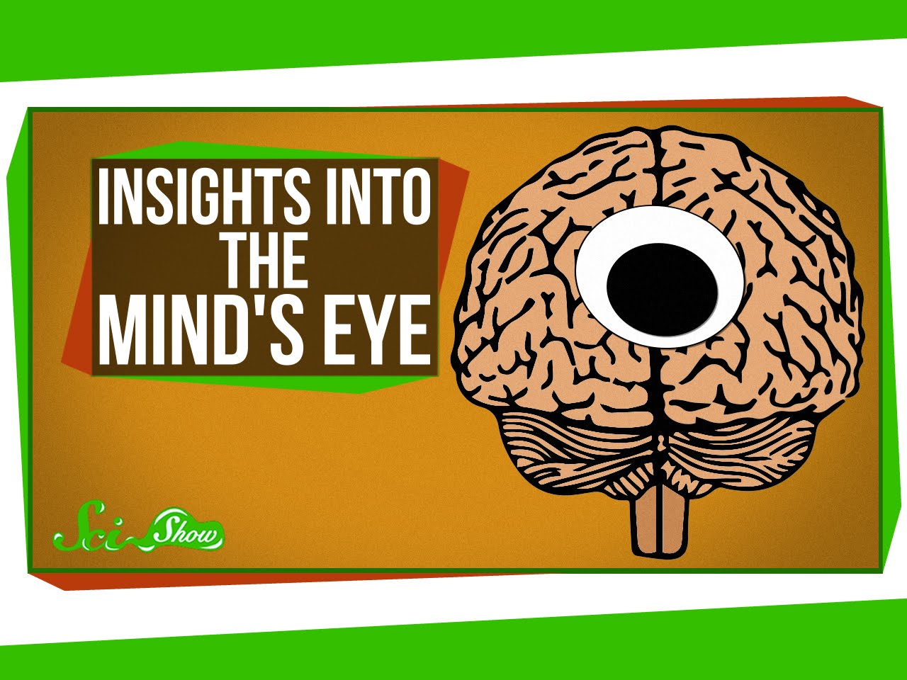 New Insights Into ‘The Mind’s Eye’ | ERA Observer