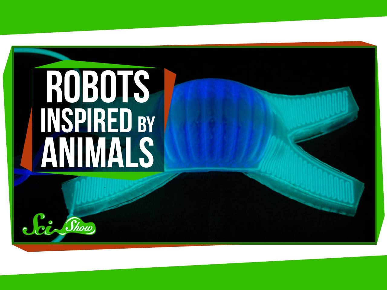 Robots Inspired By Animals | ERA Observer