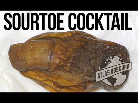 Sourtoe Cocktail | 100 Wonders | Atlas Obscura | ERA Observer