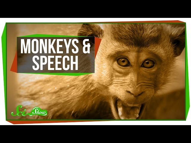 Why Can’t Monkeys Talk Like Us? | ERA Observer