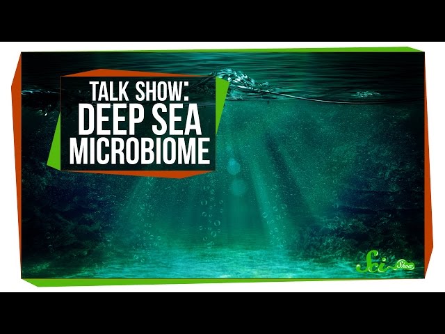 Deep Sea Microbiome: SciShow Talk Show | ERA Observer