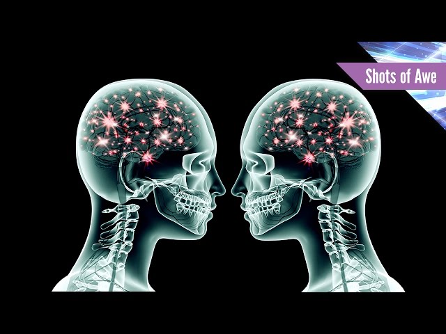 What Is Brain Coupling? | ERA Observer