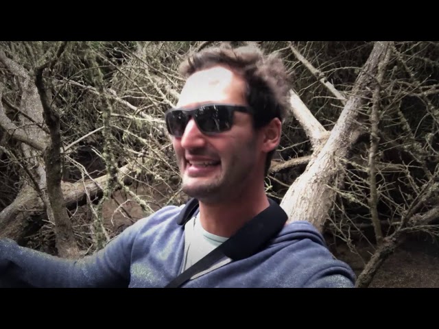 Ego Death The Art Of Ritualized Surrender Era Observer